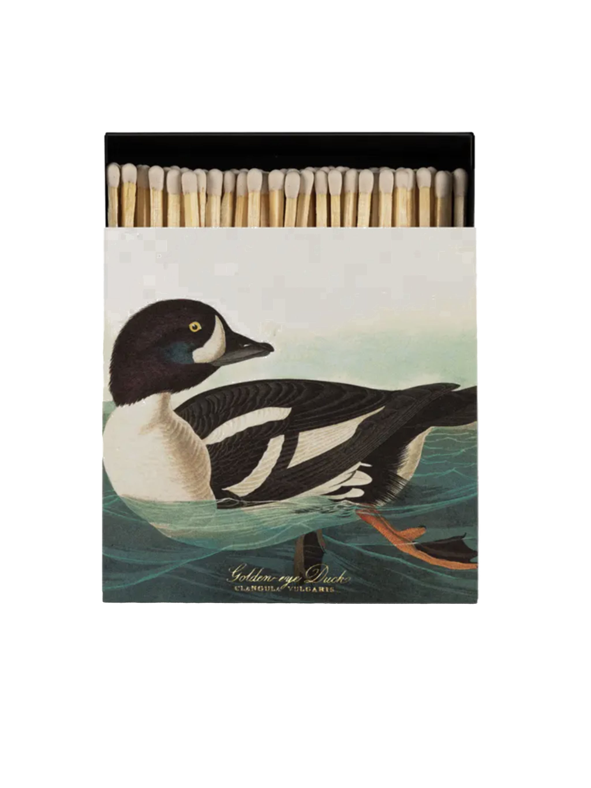 Archivist Gallery Golden-Eye Duck Matchbox