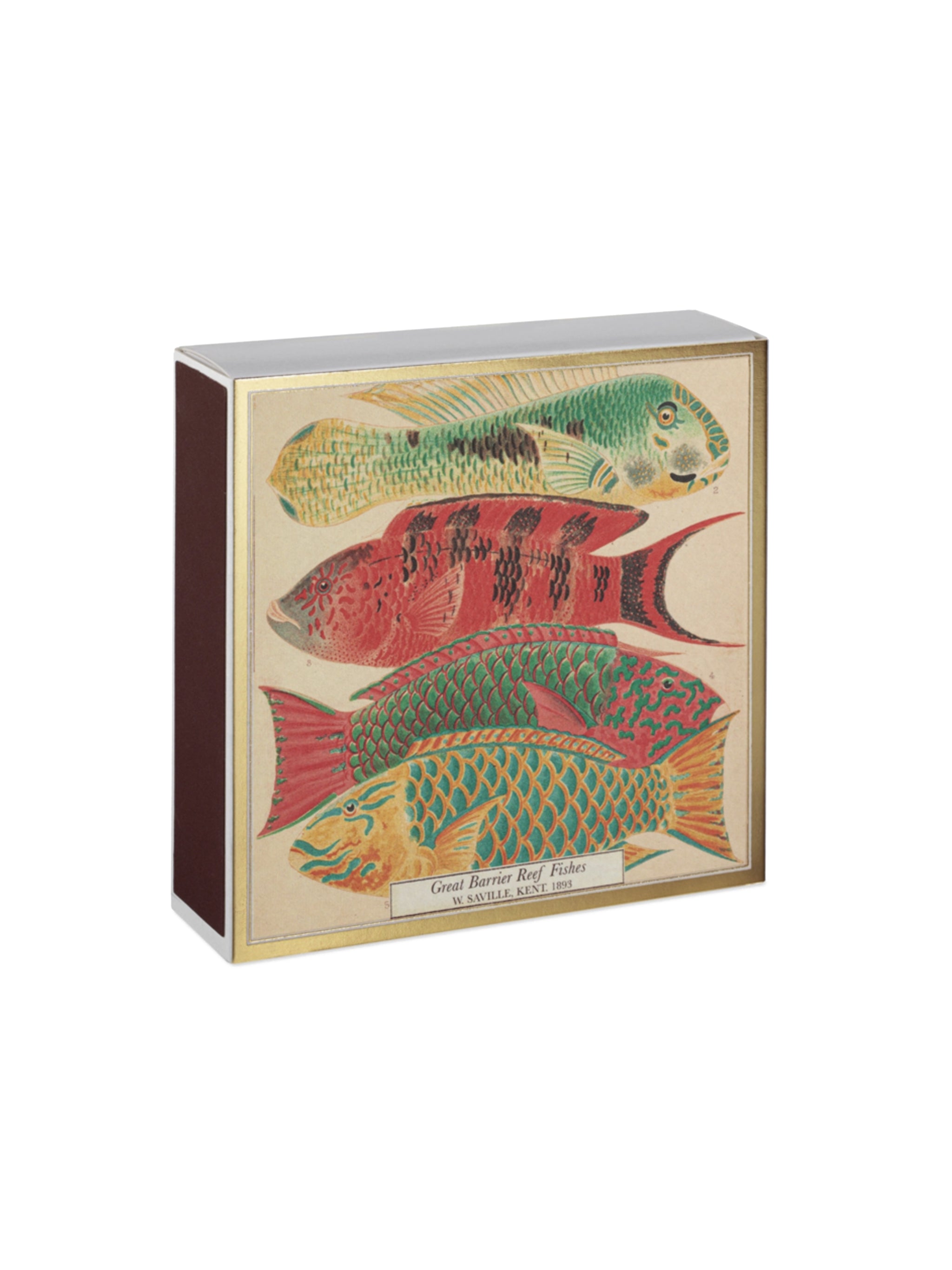Shop the Archivist Gallery Natural History Museum Fish Matchbox at ...