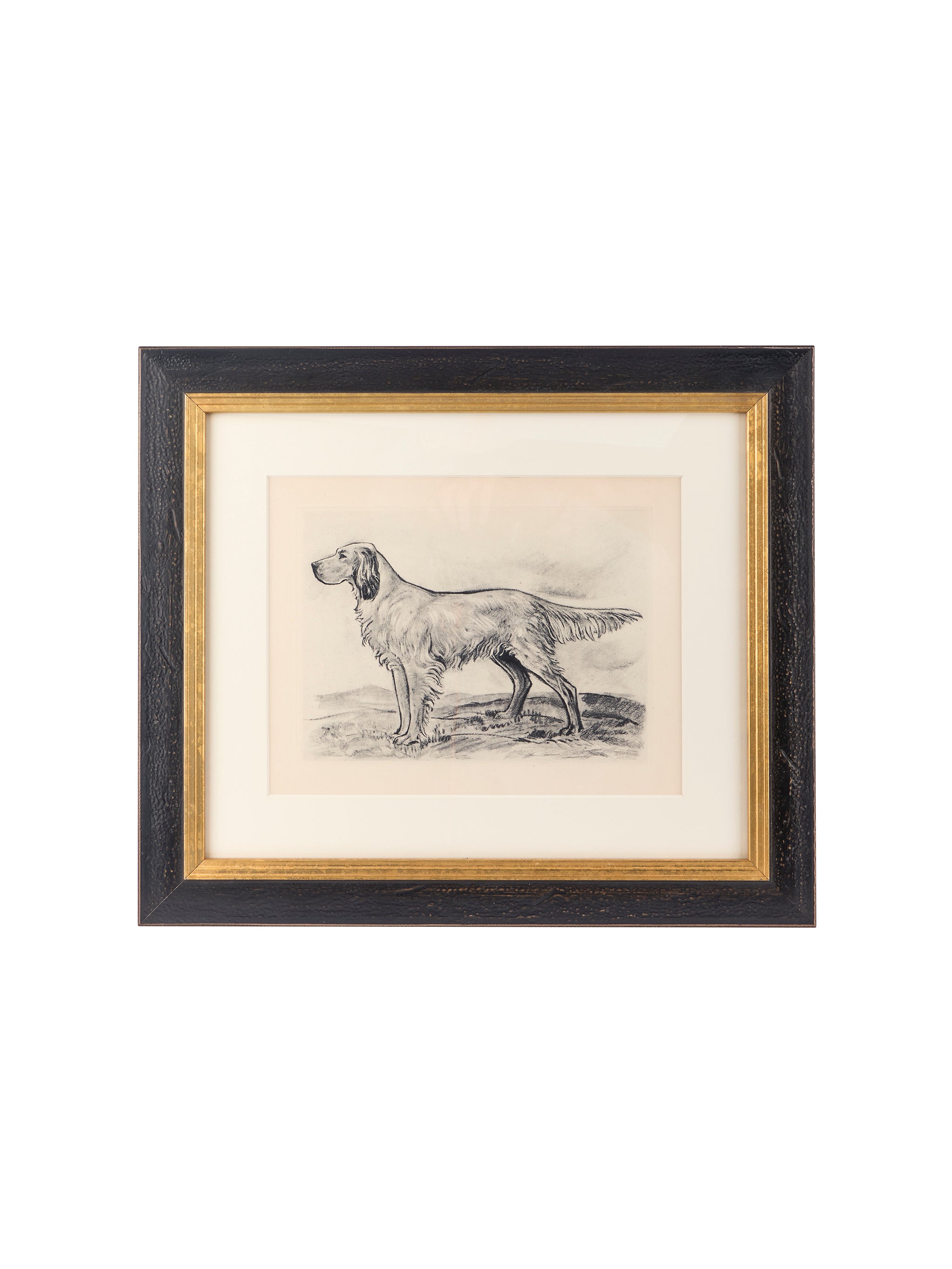 Vintage 1920s Collotype Hunting Dog Print | Fine Art & Wall Hangings ...