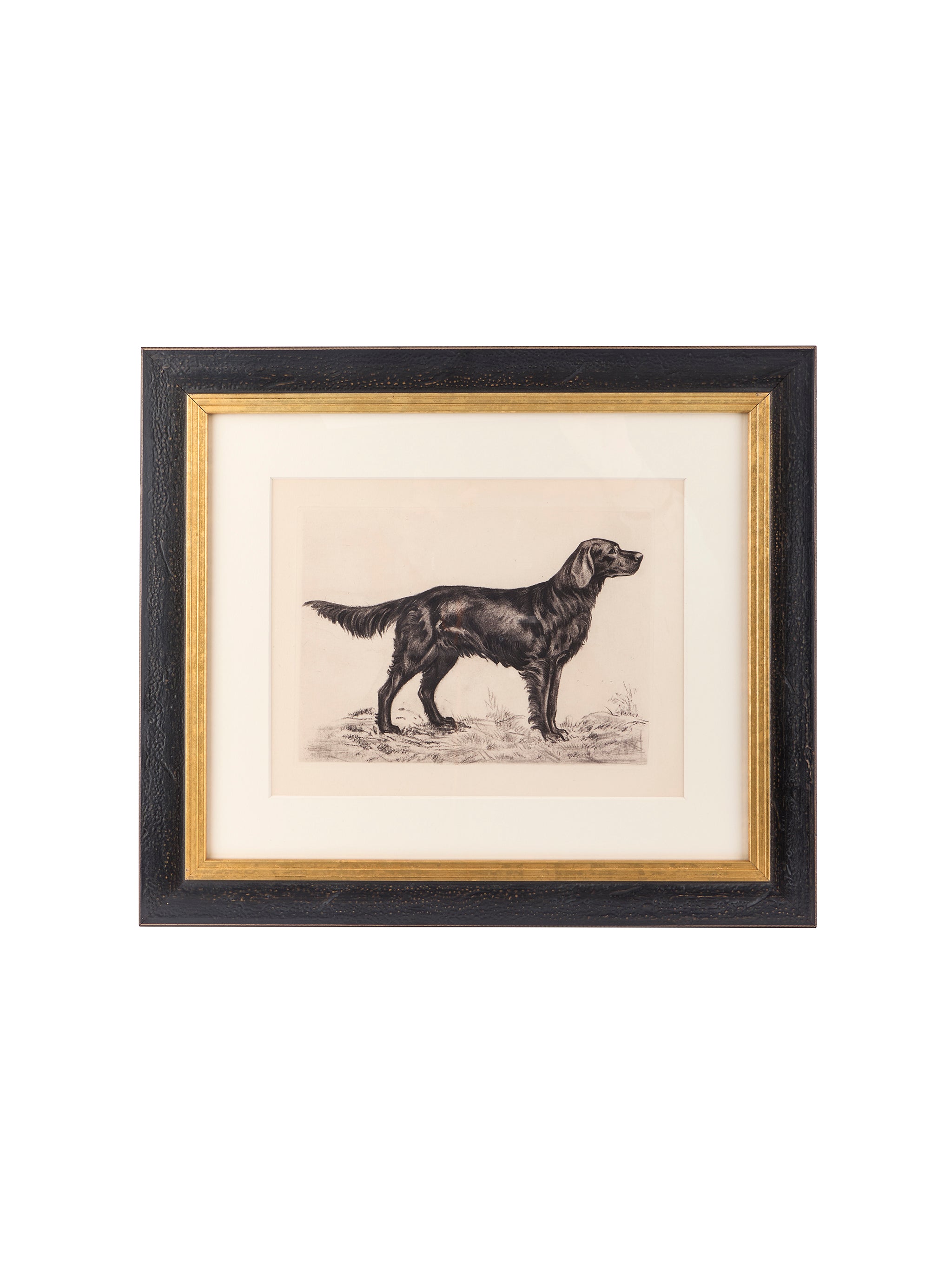 Vintage 1920s Collotype Hunting Dog Print | Fine Art & Wall Hangings ...