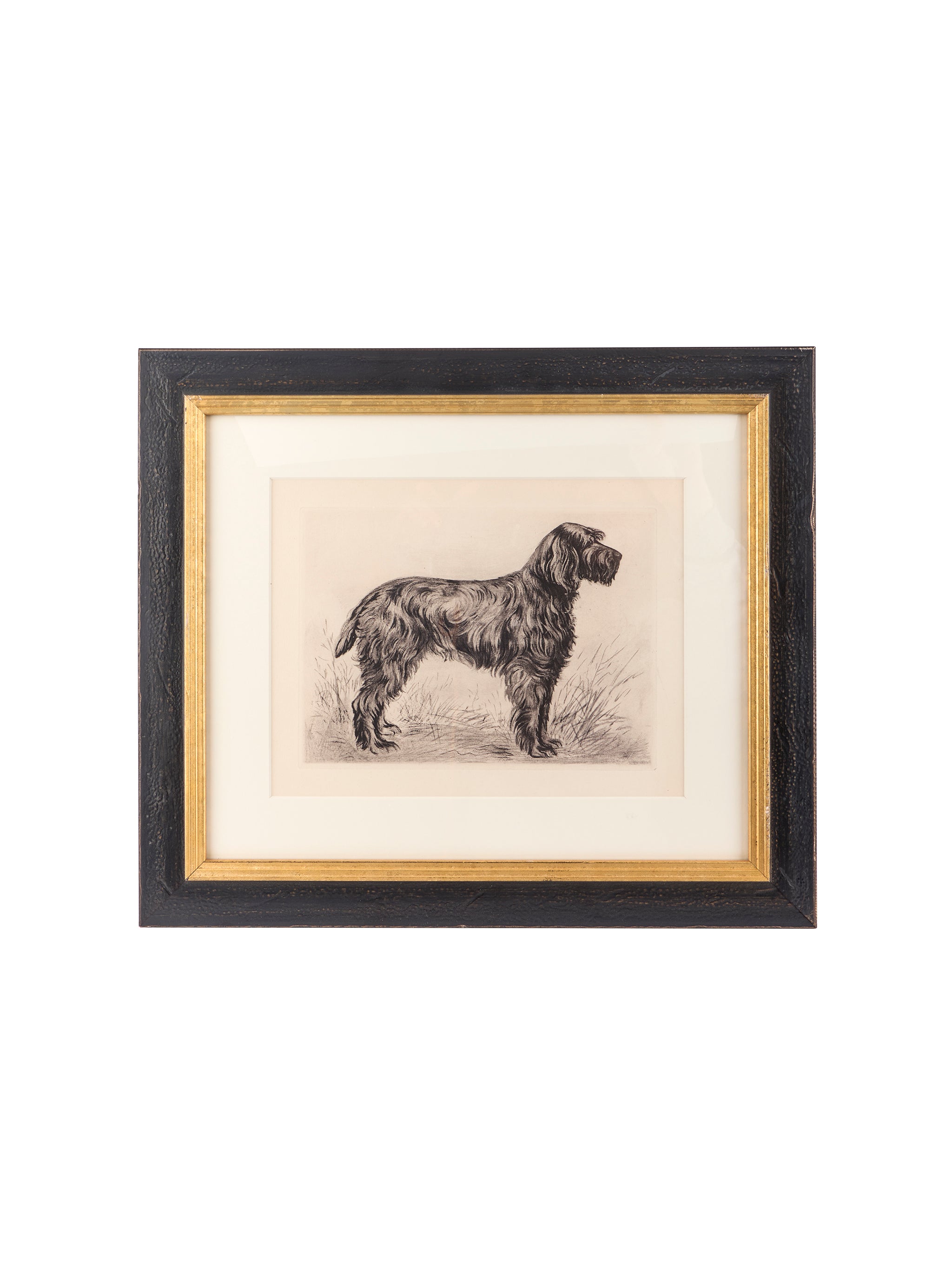 Vintage 1920s Collotype Hunting Dog Print | Fine Art & Wall Hangings ...