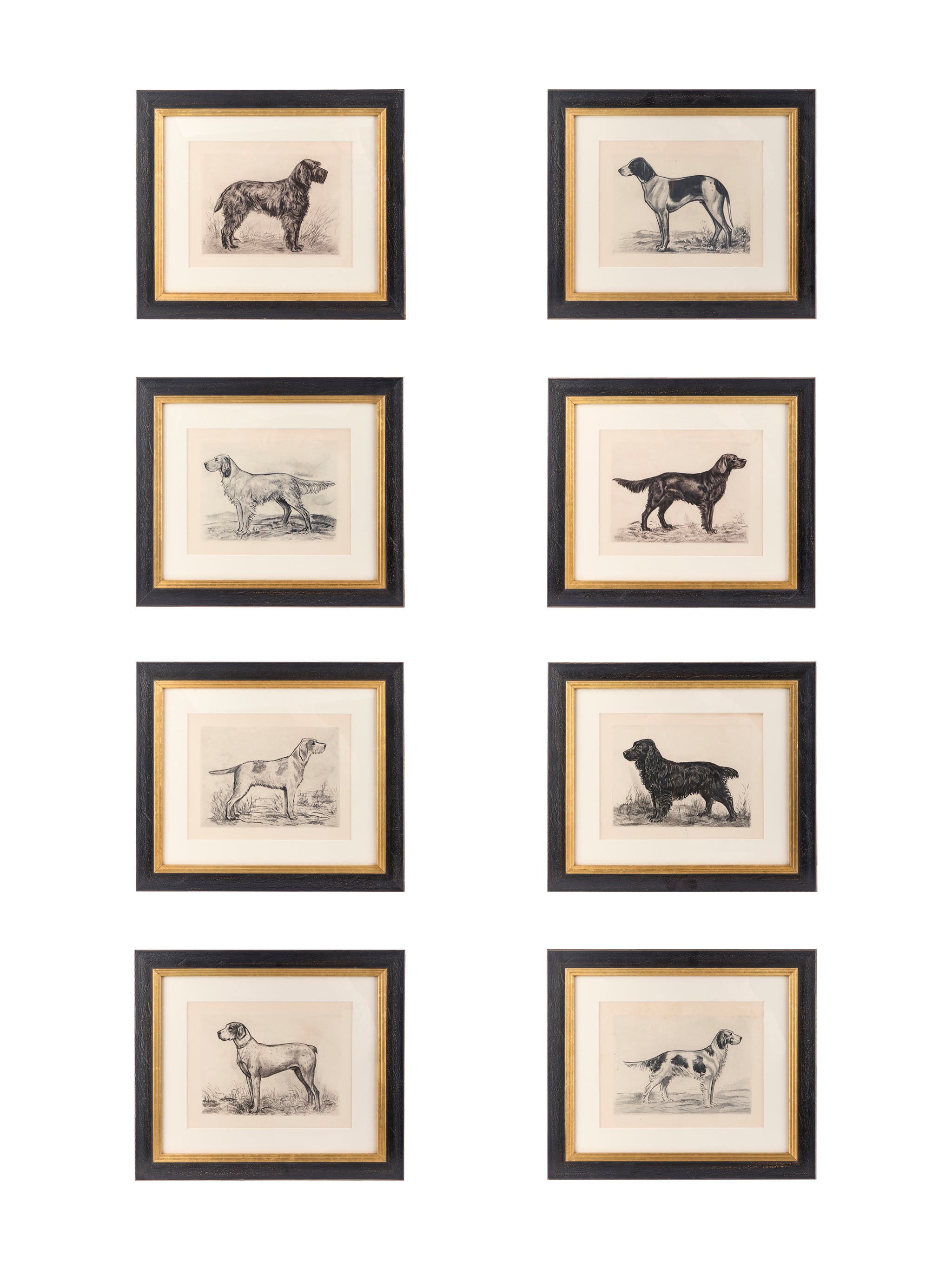 Vintage 1920s Collotype Hunting Dog Print | Fine Art & Wall Hangings ...