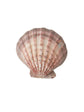 Irish Flat Scallop Shells | Table Service | Weston Table