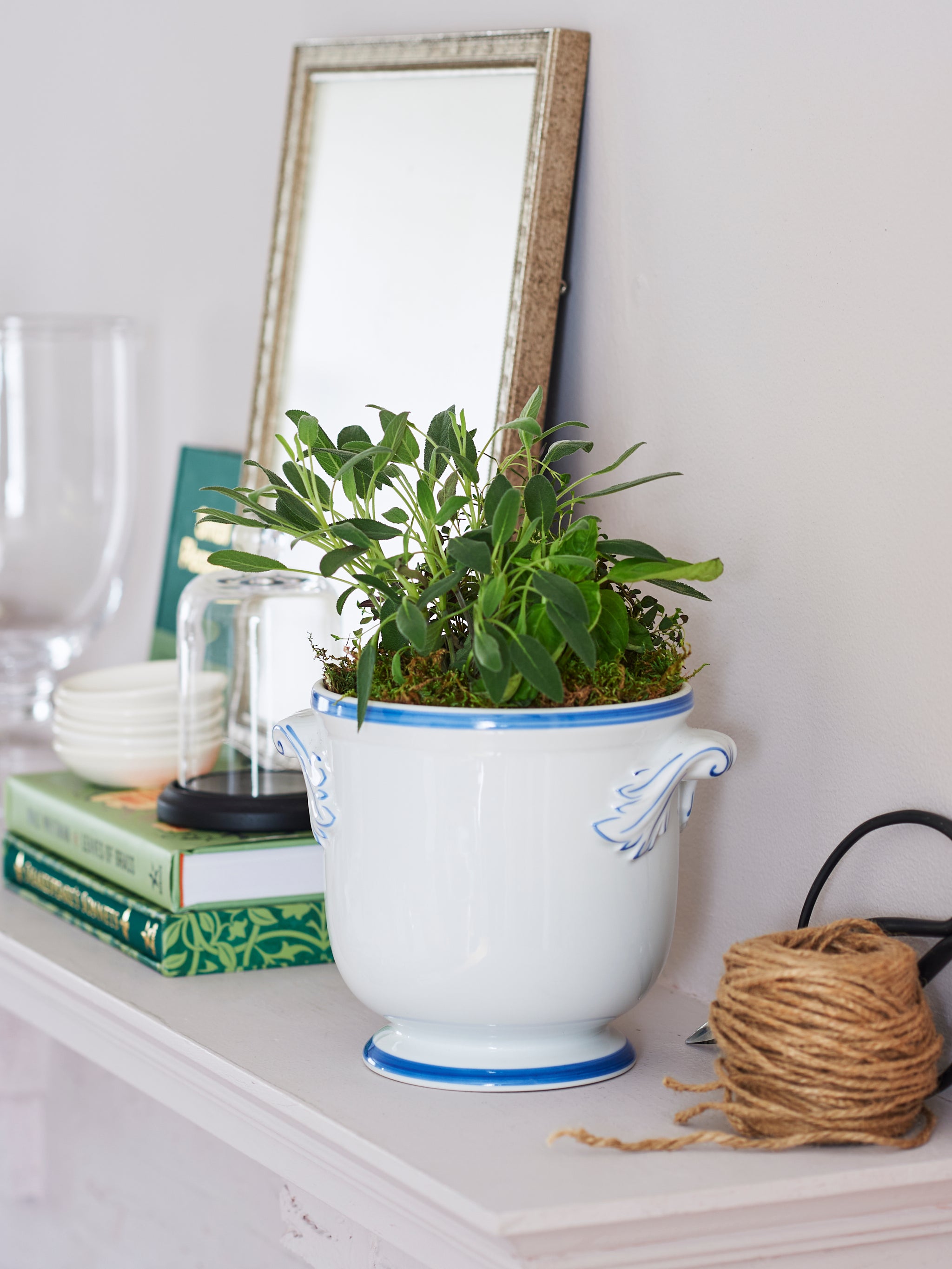 William Yeoward Crystal Mara Cachepot | Outdoor & Garden Tools | Weston ...